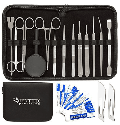 Supplies 101- Everything You Need to Process and Articulate Bones