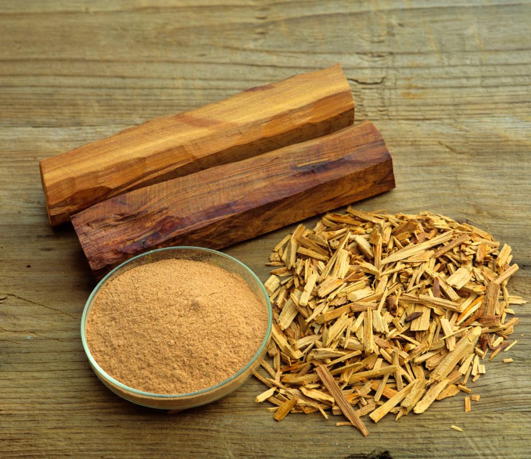 Sandalwood (Santalum album) | MOONCHILD'S BOOK OF SHADOWS