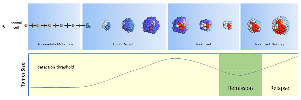 Clonal Evolution Model - Understanding Pancreatic Cancer Blog