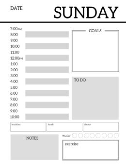 Daily Planner Printable Template Sheets Paper Trail Design