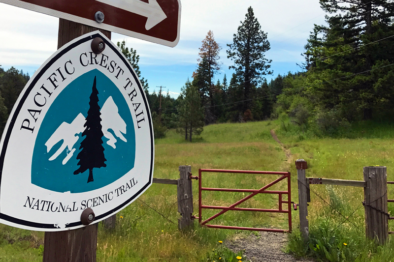 Trail Report: June 15 - PCT: Oregon