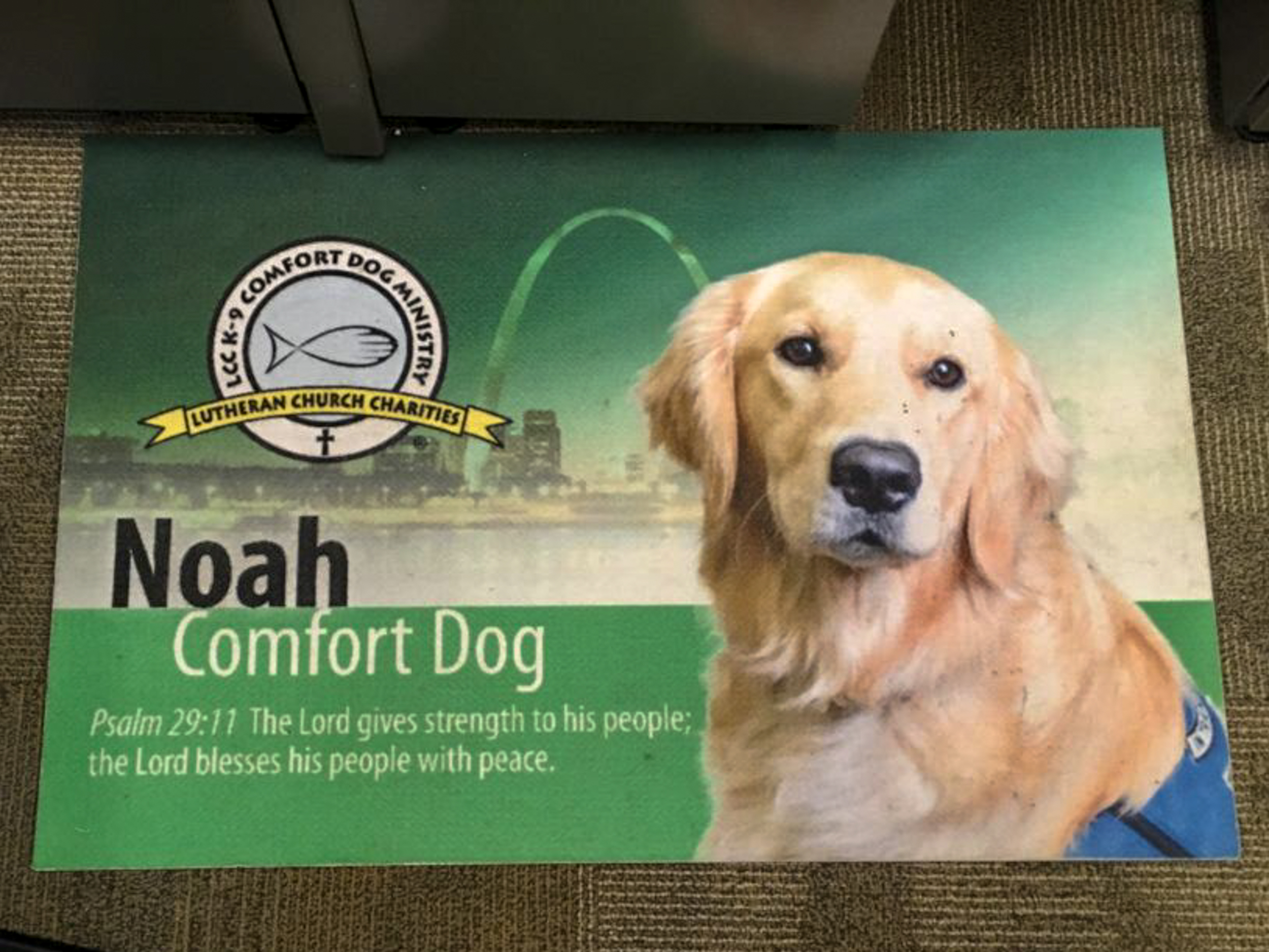 Comforted, to Comfort Others – Praying With The Eyes