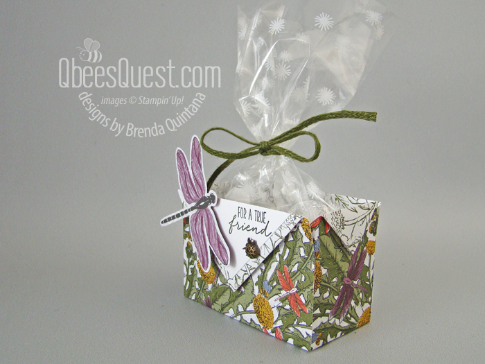Diagonal Fold Box with Dragonfly Garden - Qbees Quest