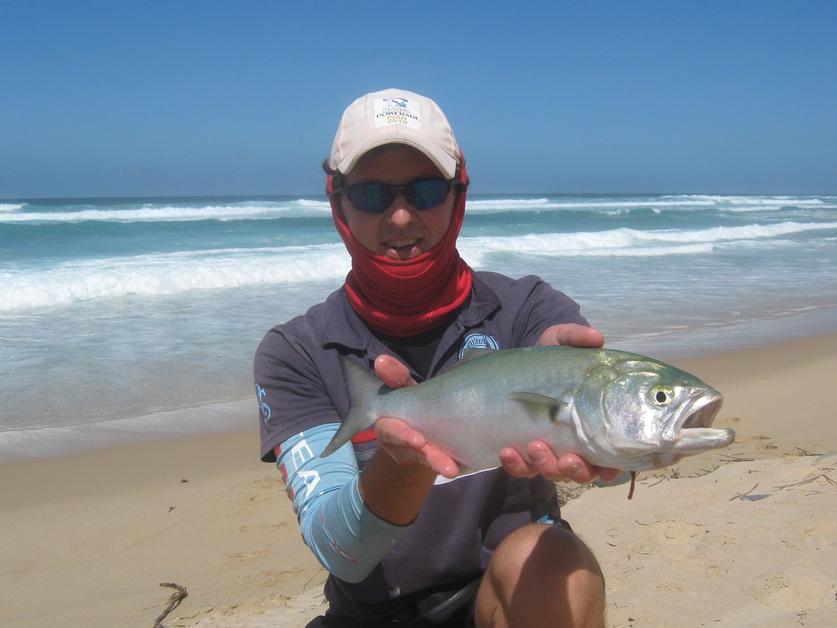 Shad or elf - Rush of Blue