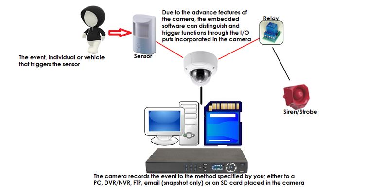 Input And Output Of A Digital Camera Wiring Work
