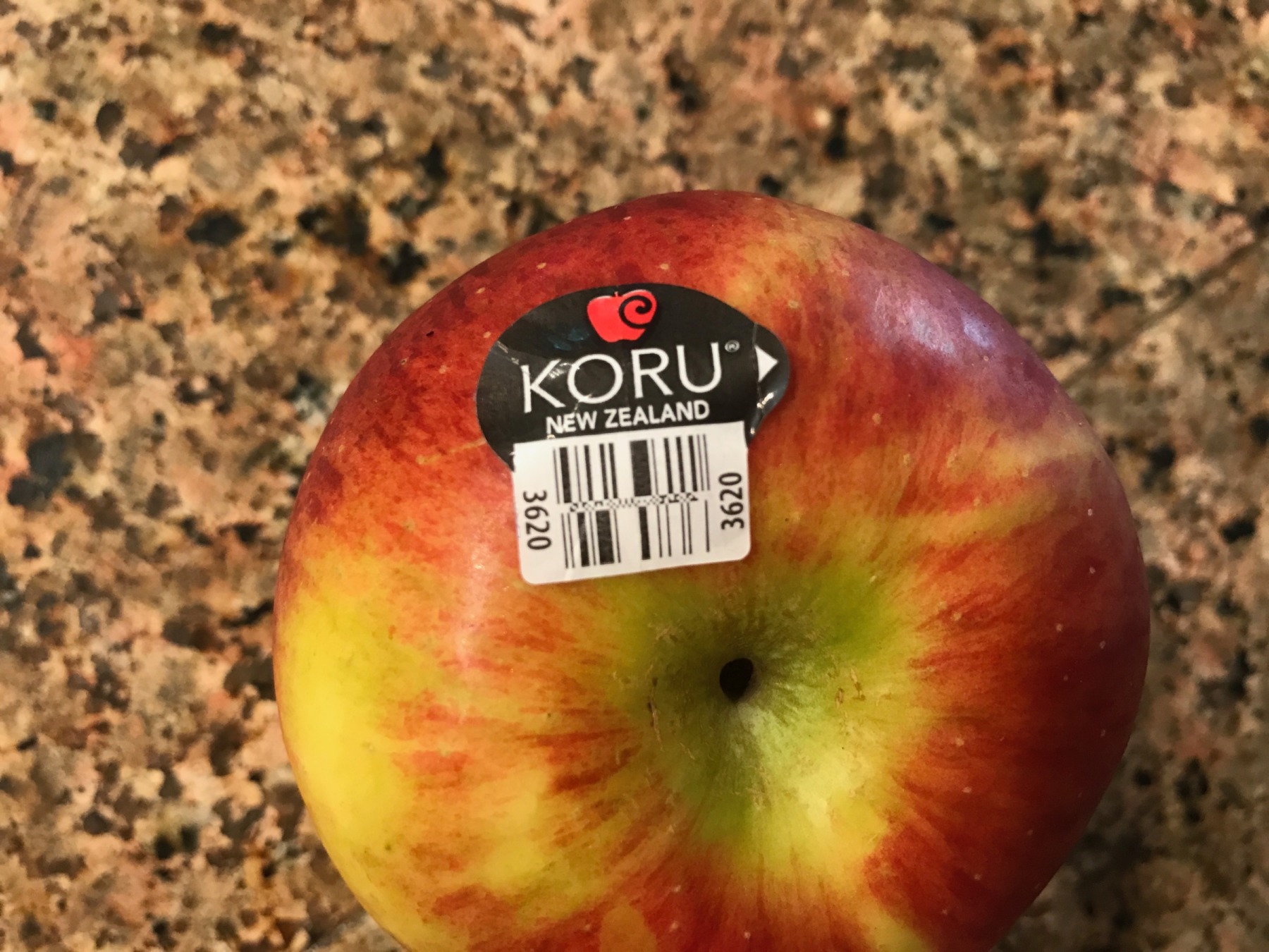 Koru Apple Review | Selective Elective
