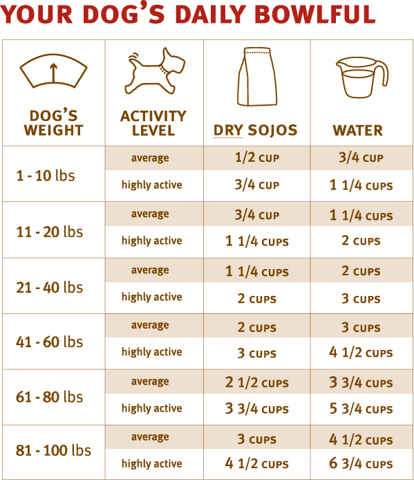 Dog Feeding Chart Printable - Printable And Enjoyable Learning