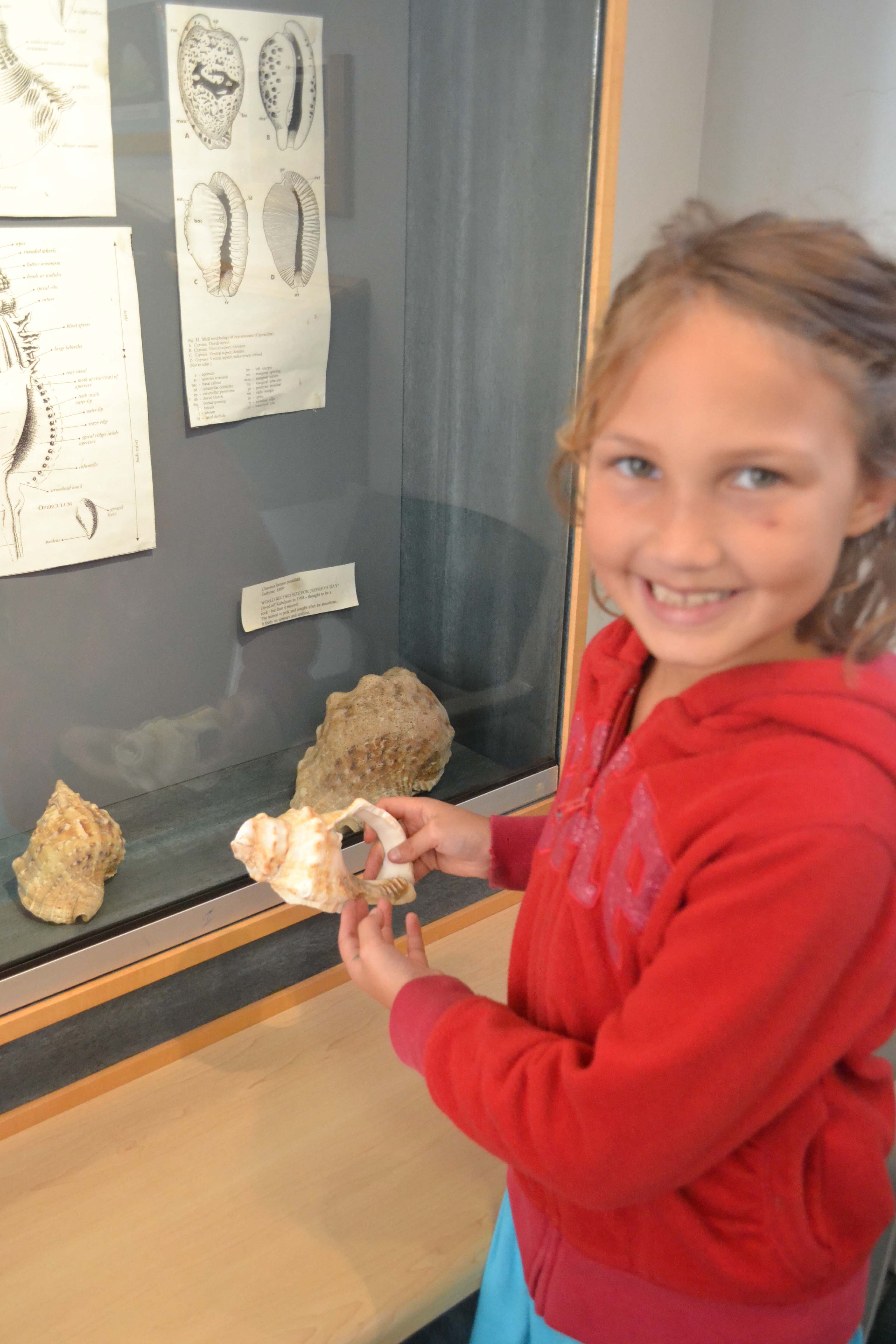 Jeffrey's Bay - TazzDiscovers