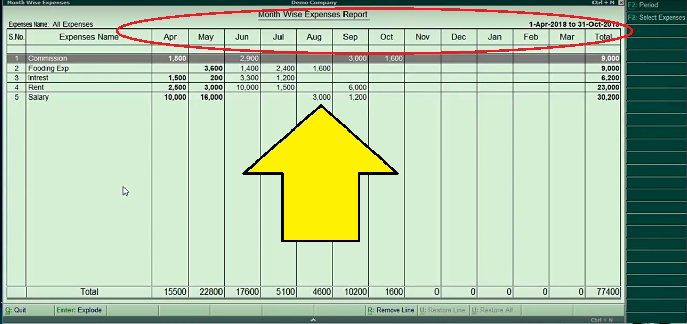 Monthly Expenses Report TDL For Tally ERP 9 monthly-expenses-report-tdl-for-tally-erp-9
