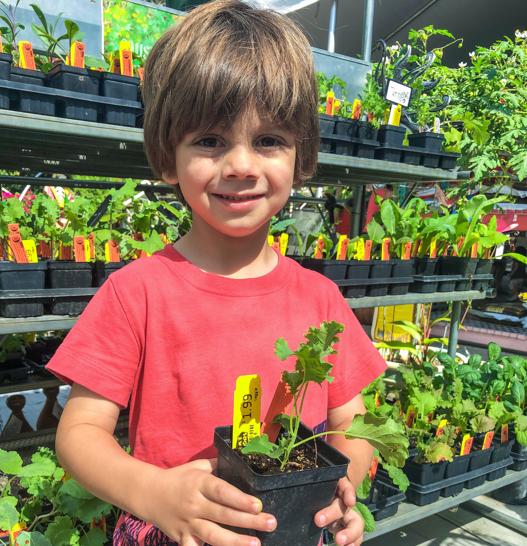 10 Easy Plant Activities For Kids The Fussy Mama 10-easy-plant-activities-for-kids-the-fussy-mama