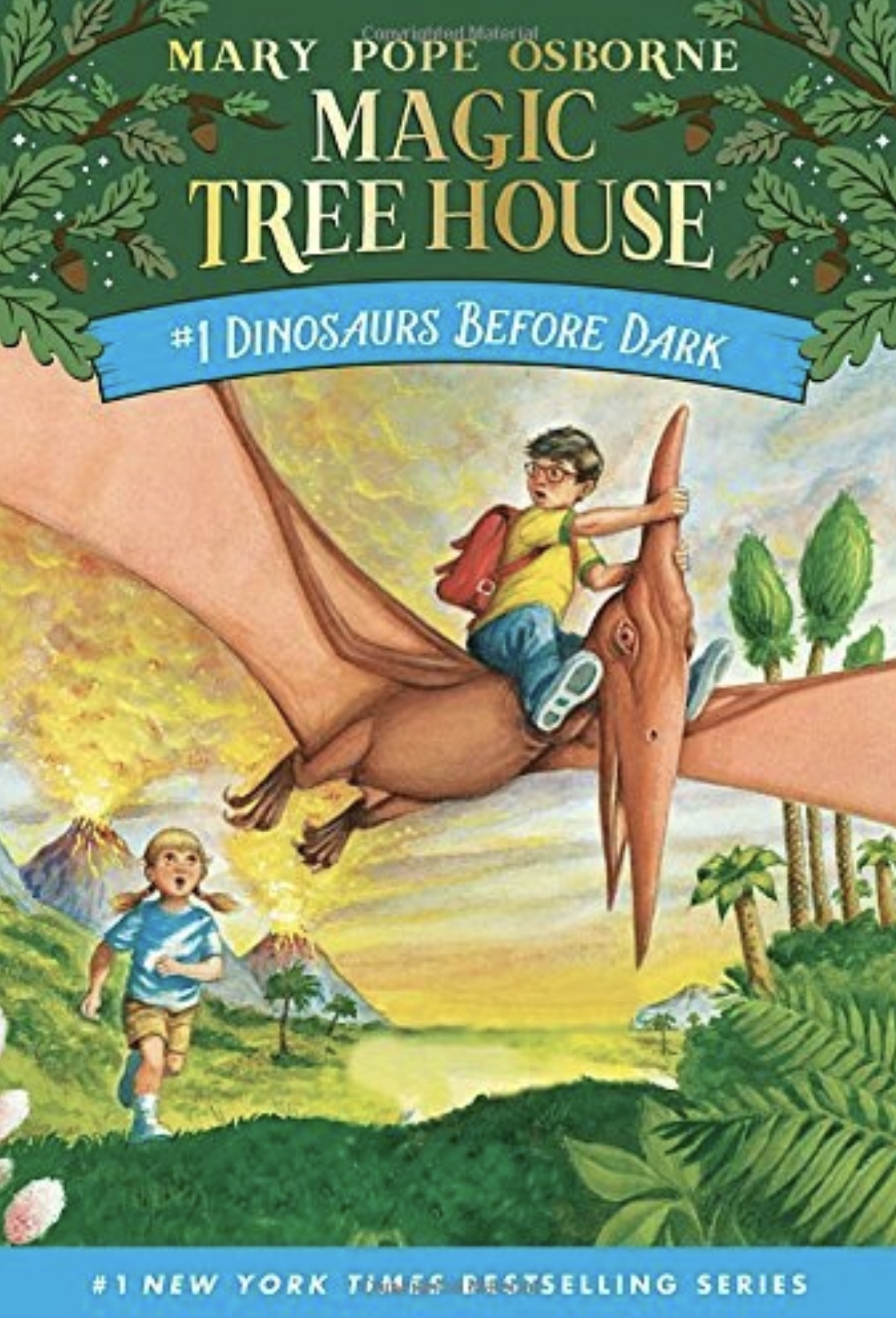 10 Best Book Series For 2nd Grade Boys The Journey At Home 10-best-book-series-for-2nd-grade-boys-the-journey-at-home