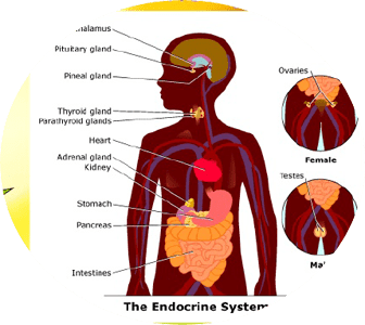 A Majority of Diseases Treated With Holistic Medicine by Dr. Tsan