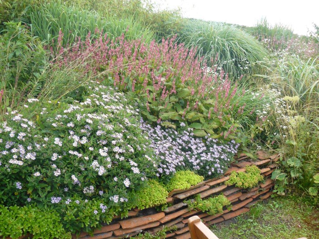 Mij-n-natuur is de biodiversiteit vergroten in allerlei terreinen en ...