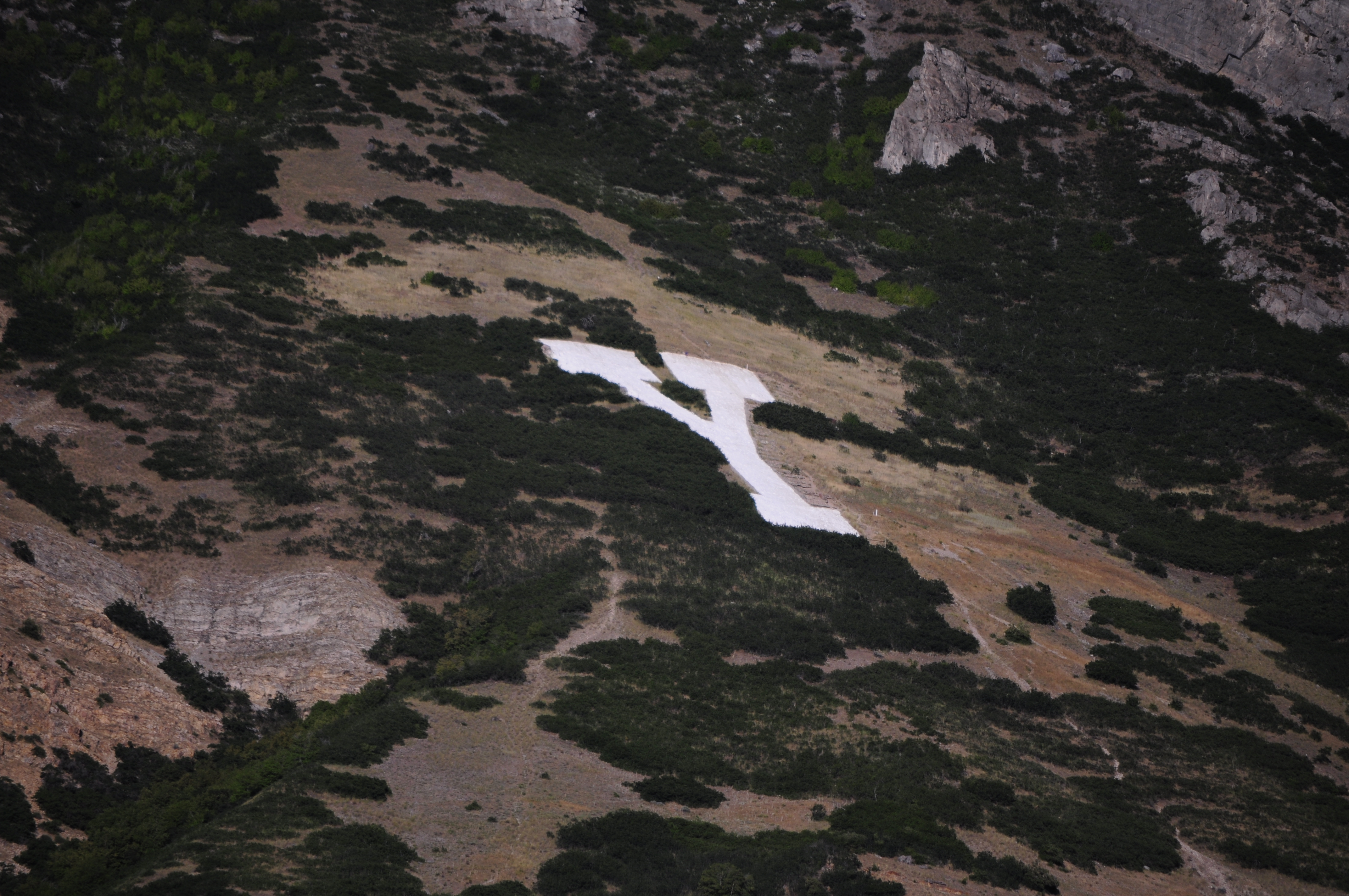 Y Mountain - Your Hike Guide