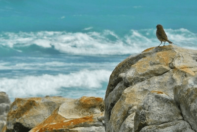 How to Surf in 2 Steps - Yonder Stoke
