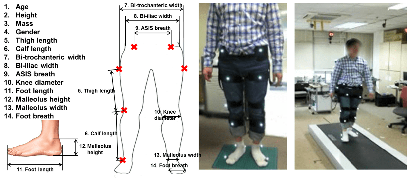 human_walking_pattern_1 - Youngmok Yun: Roboticist in Austin