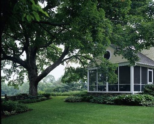 Landscaping for Energy Efficiency